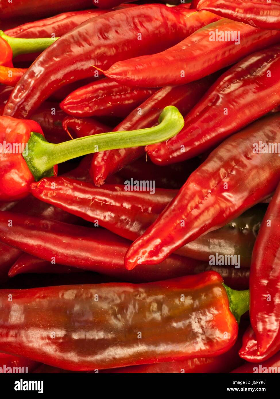 spice red healthy spice kitchen cuisine boil cooks boiling cooking ...