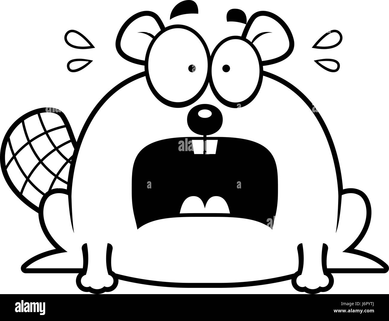 A cartoon illustration of a beaver looking terrified Stock Vector Image ...