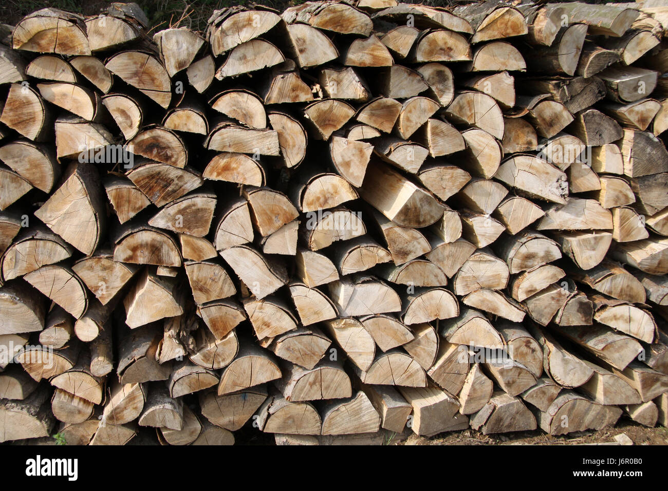 wood stack forest wood stack stacked stratified lumbers forest wood ...