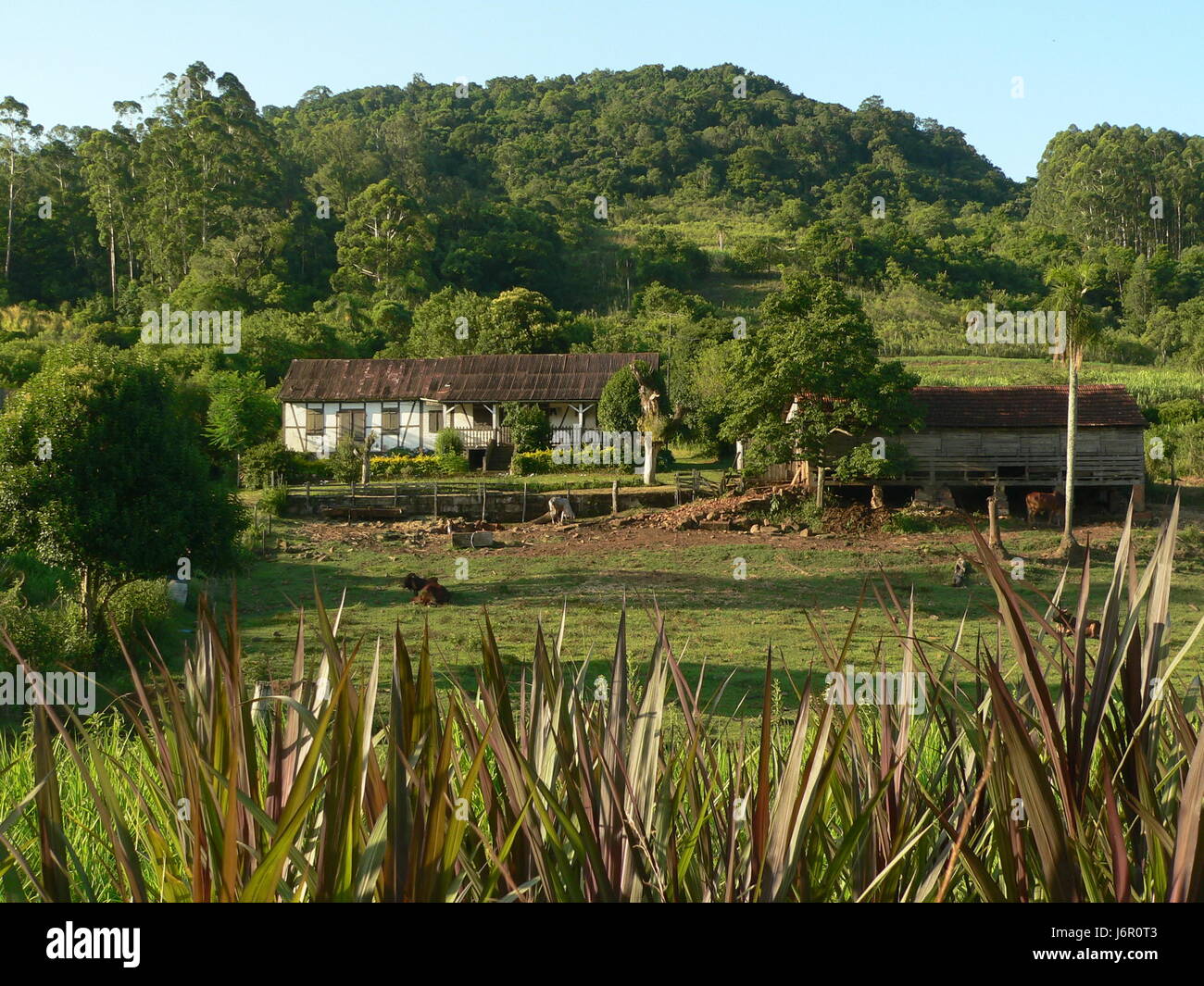 colonial country life Stock Photo - Alamy