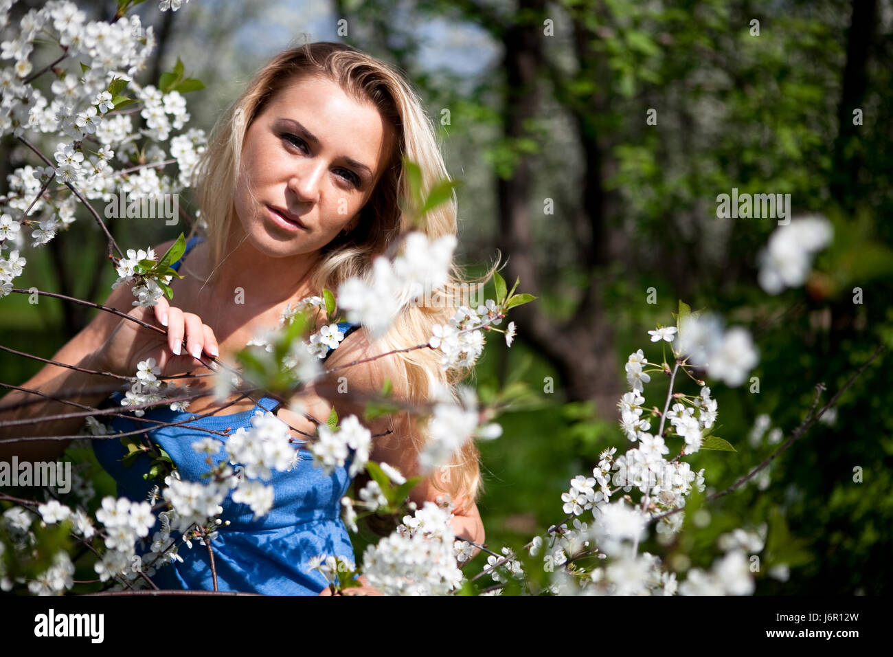 woman lady garden spring cherry shawl girl girls woman laugh laughs ...