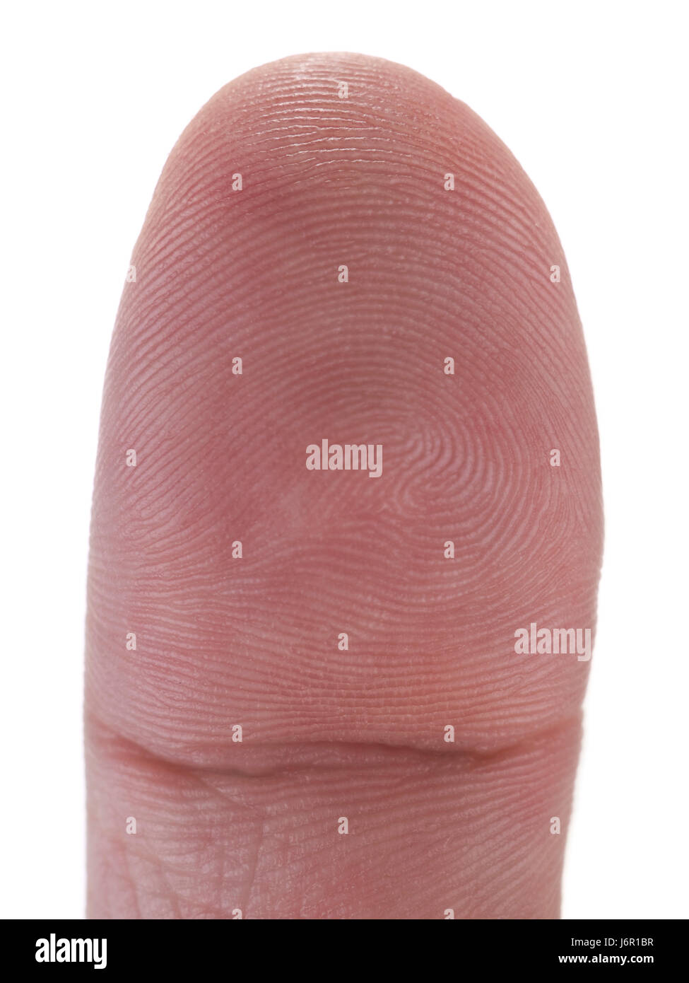 finger closeup print identification fingerprint thumbs thumb security ...