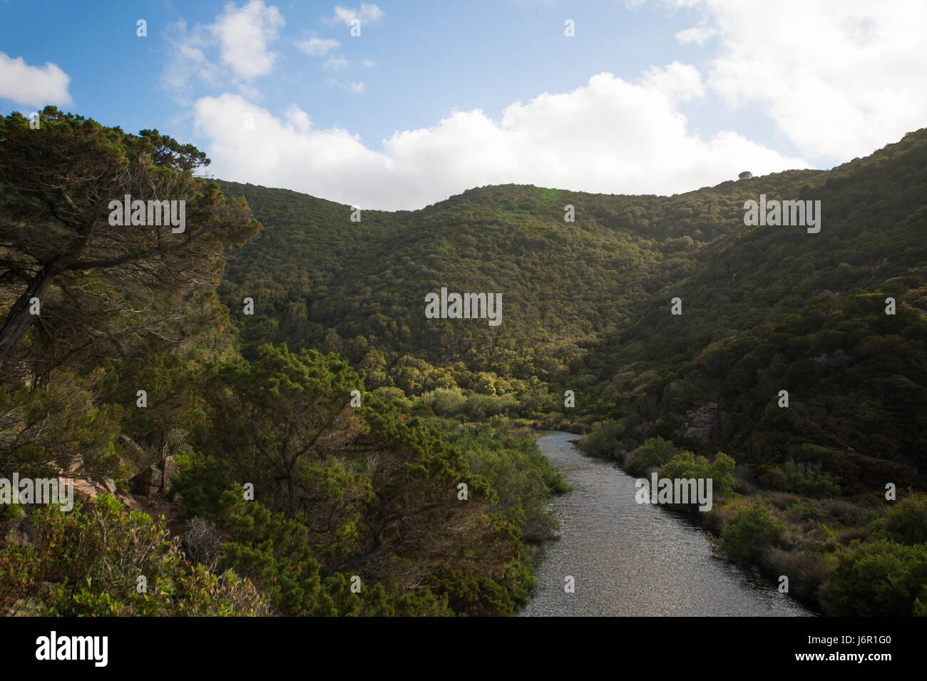 A beautiful natural river between the Italian mountains. River flowing ...