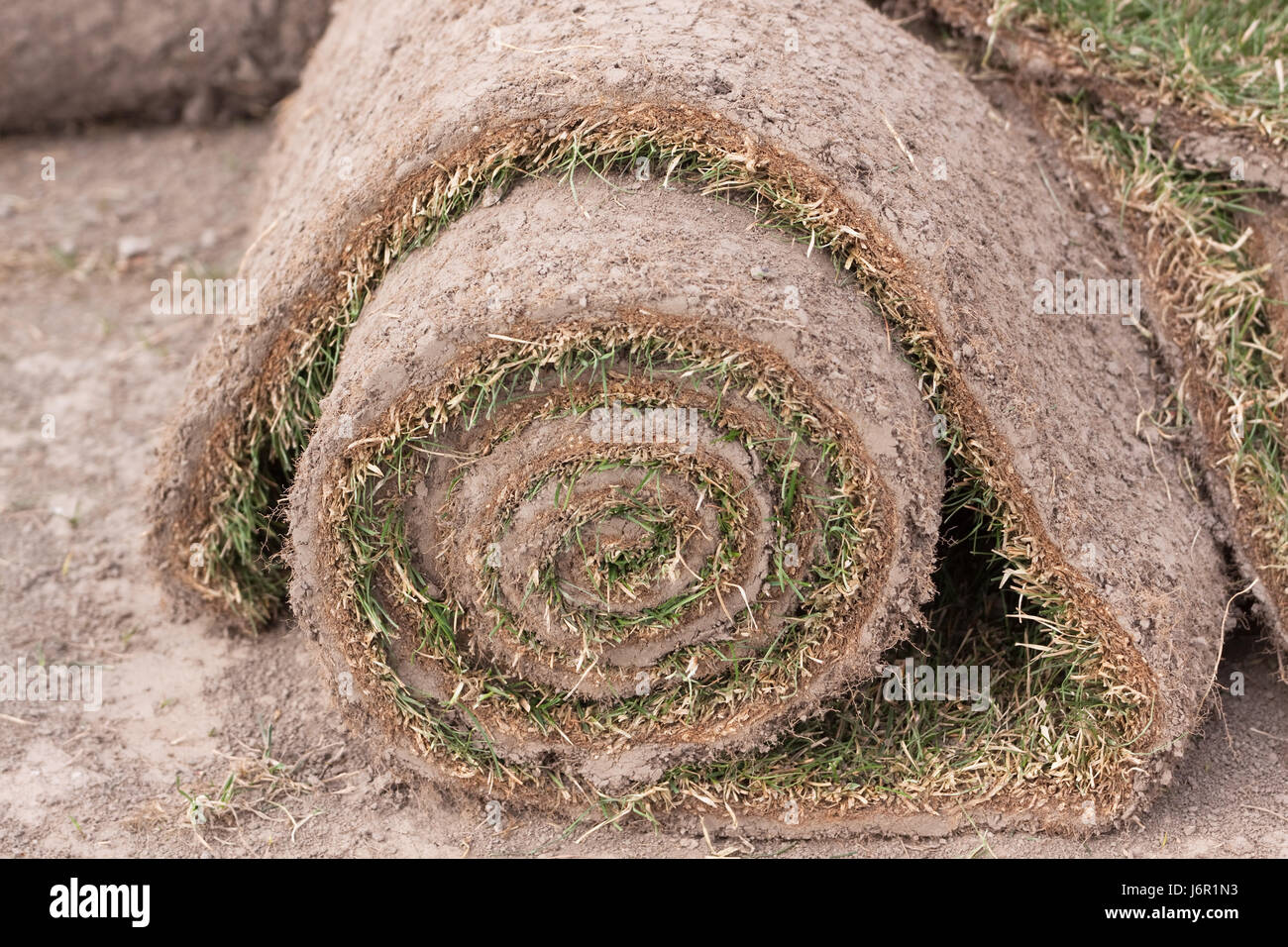 horticulture cultivation roll wrapped unrolled heap pile meadow grass ...