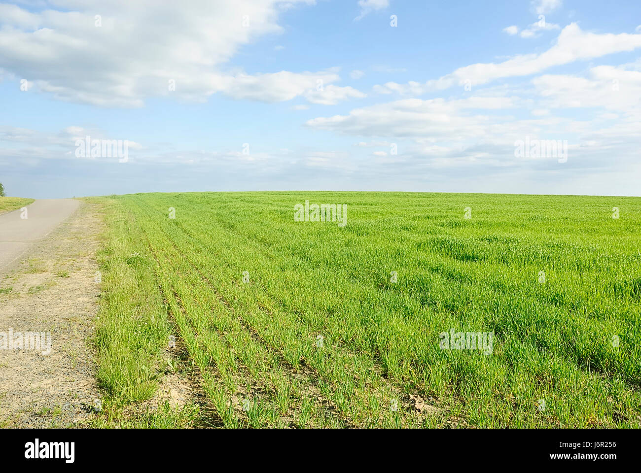 Widen hi-res stock photography and images - Alamy