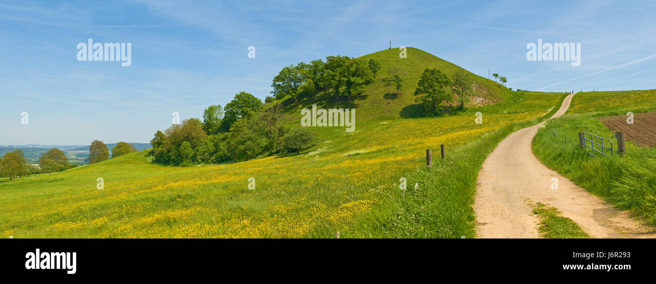 flower flowers plant sight view outlook perspective vista panorama ...