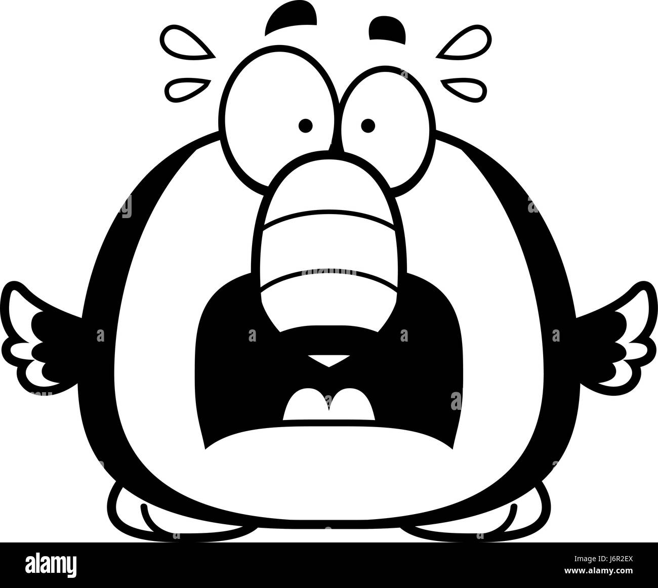 A cartoon illustration of a toucan looking scared Stock Vector Image ...