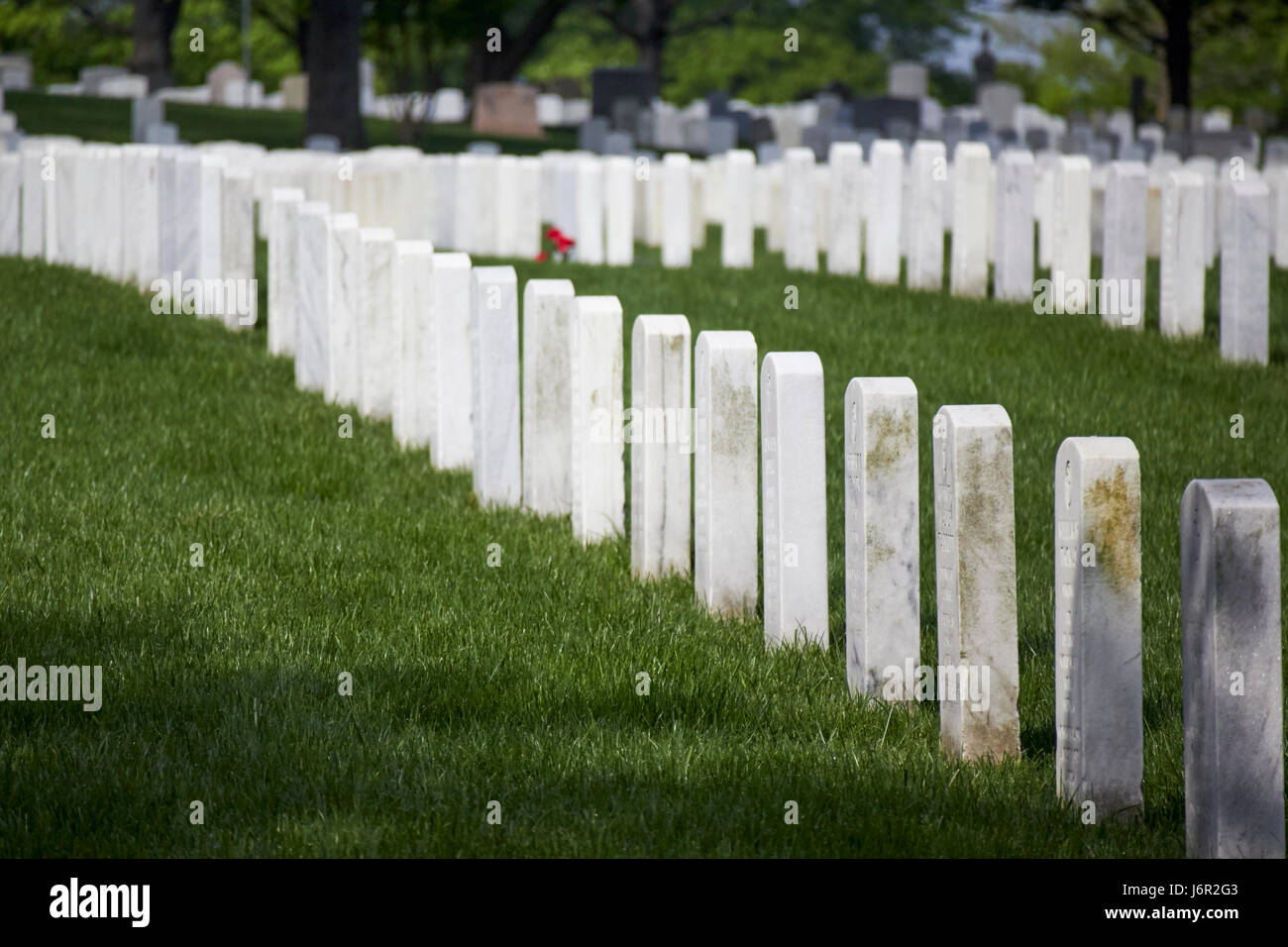 Row rows line lines hi-res stock photography and images - Alamy