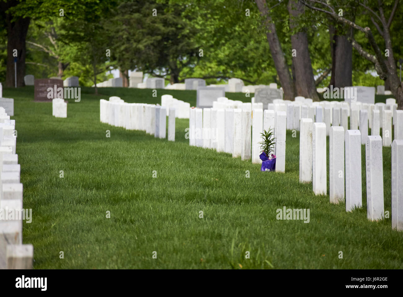 White graves hi-res stock photography and images - Alamy
