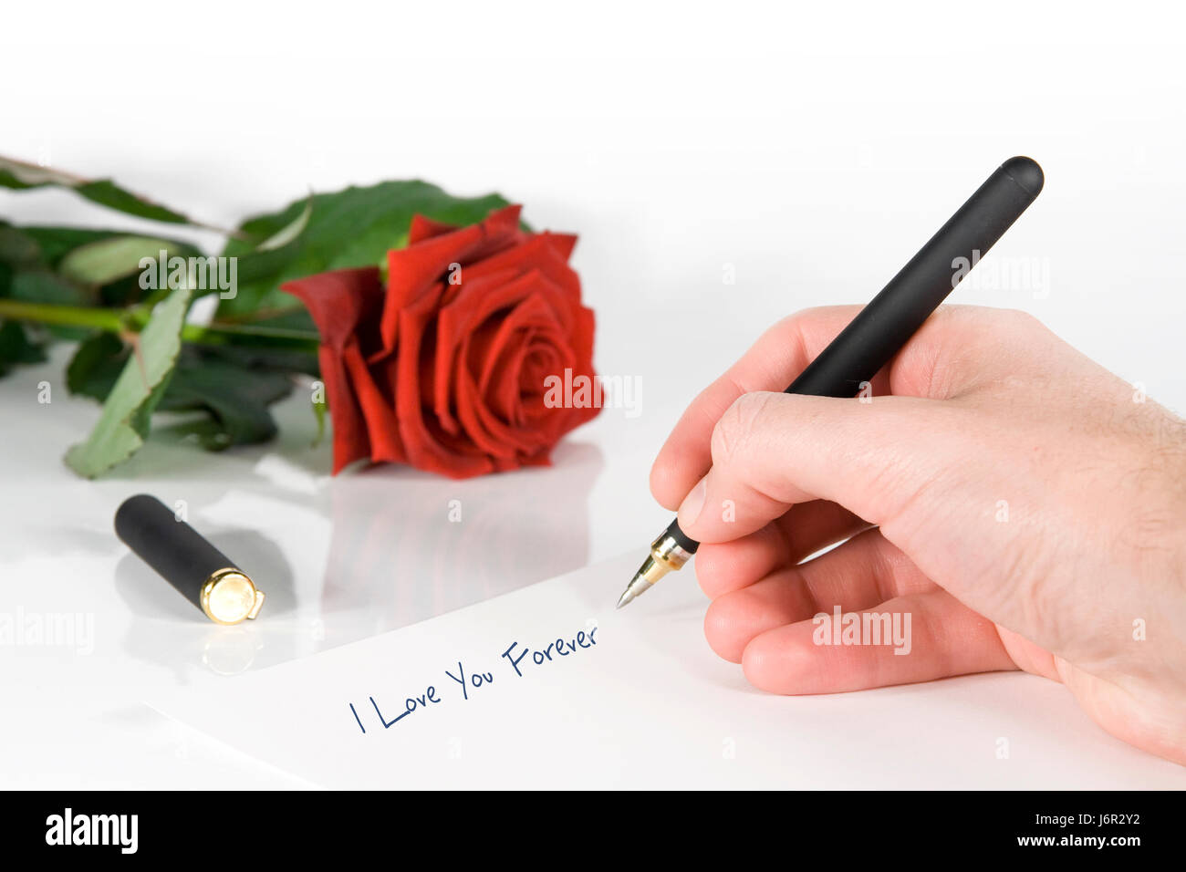 write wrote writing writes flower rose plant font typography confession ...