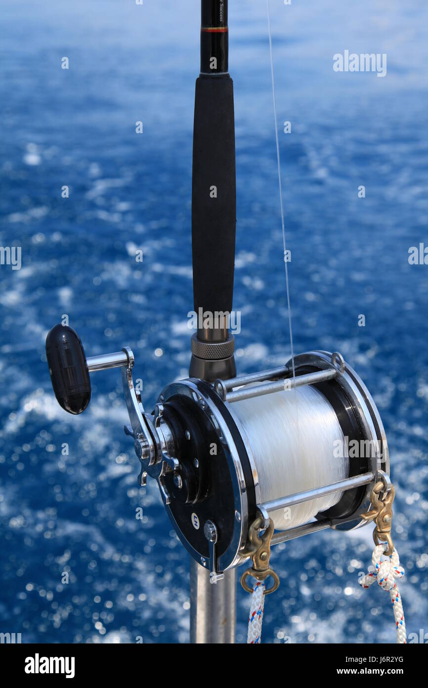 Deep sea angler hi-res stock photography and images - Alamy