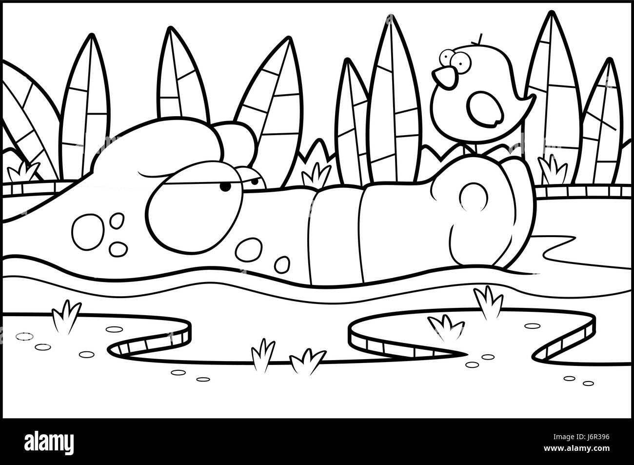 Swamp Alligator Drawings