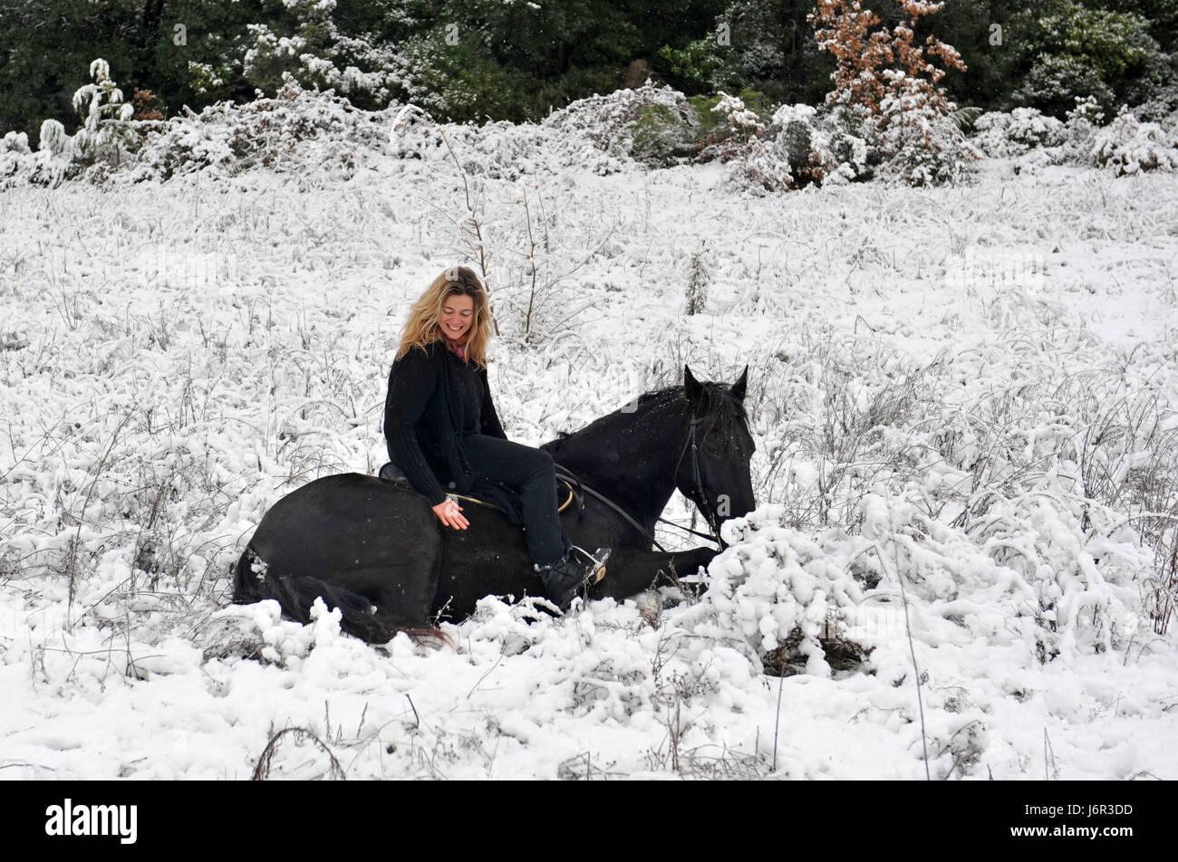 woman horse snow coke cocaine material drug anaesthetic addictive drug ...