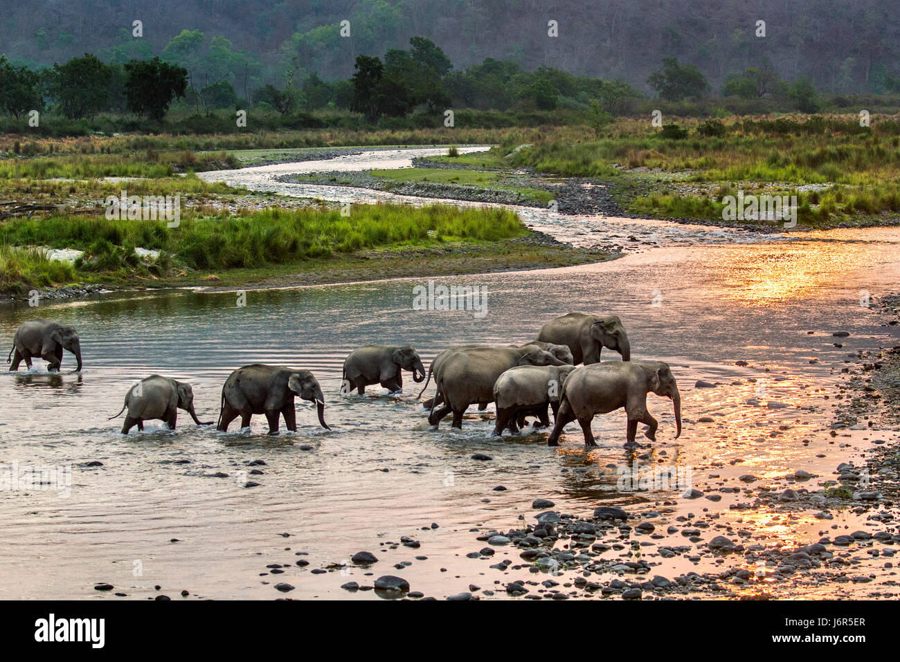 Elephant Sanctuary High Resolution Stock Photography and Images - Alamy