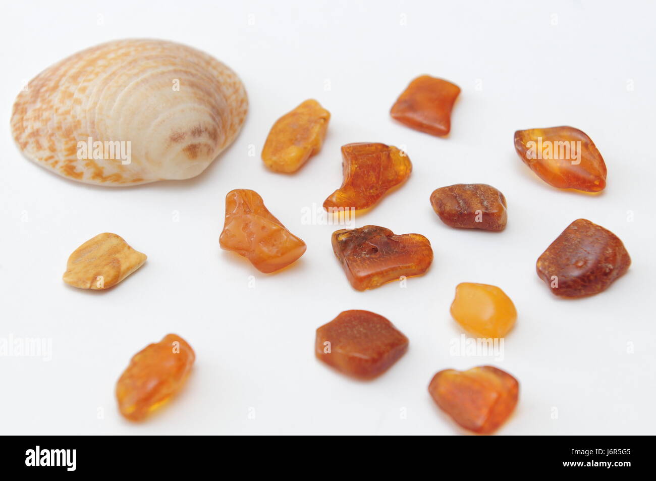 Shell Pigment High Resolution Stock Photography and Images - Alamy