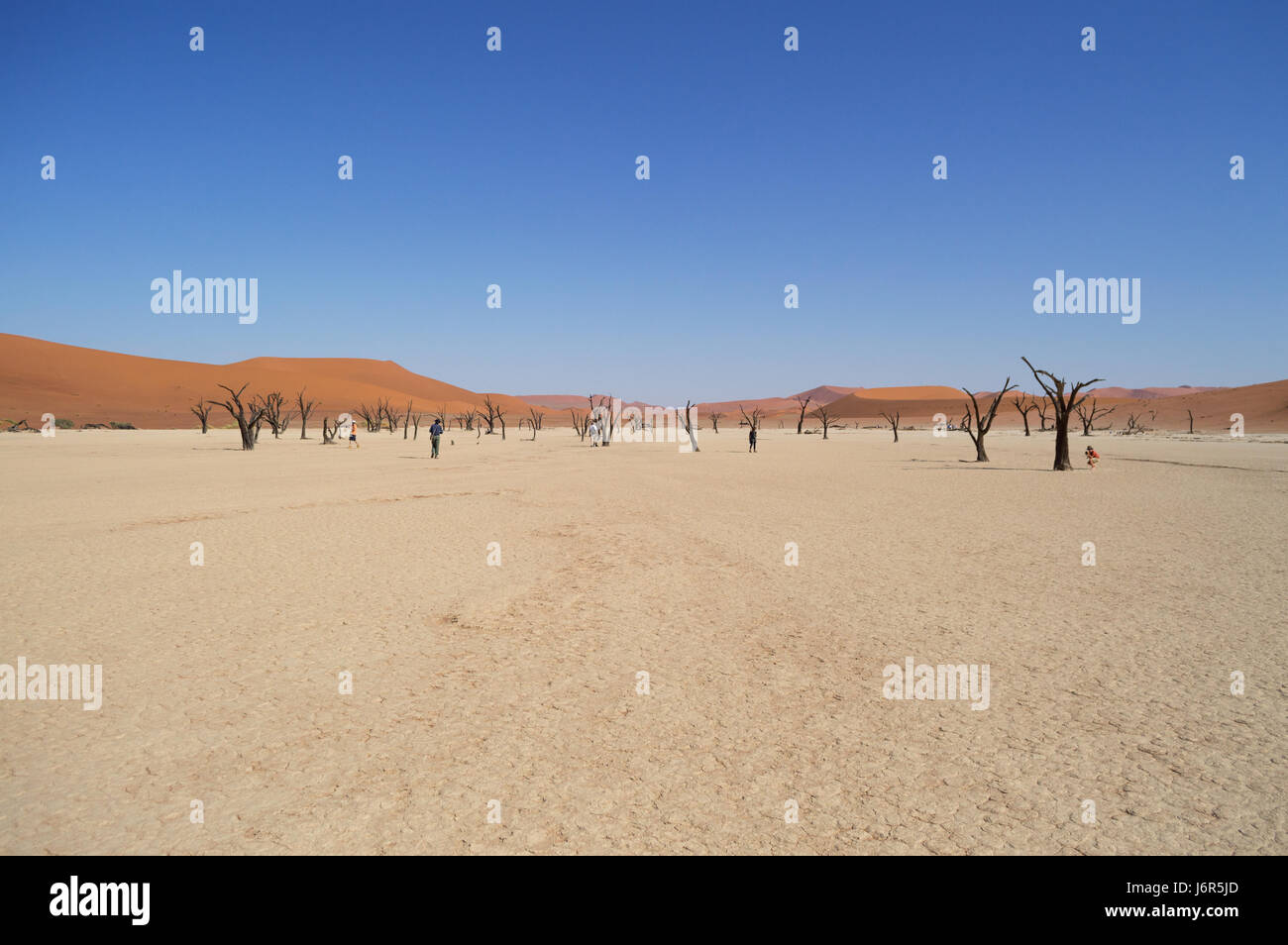 Sossusvlei Salt Pan Desert Landscape with Dead Trees and People ...