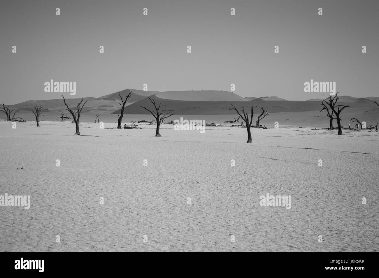 Sossusvlei Salt Pan Desert Landscape with Dead Trees and People ...