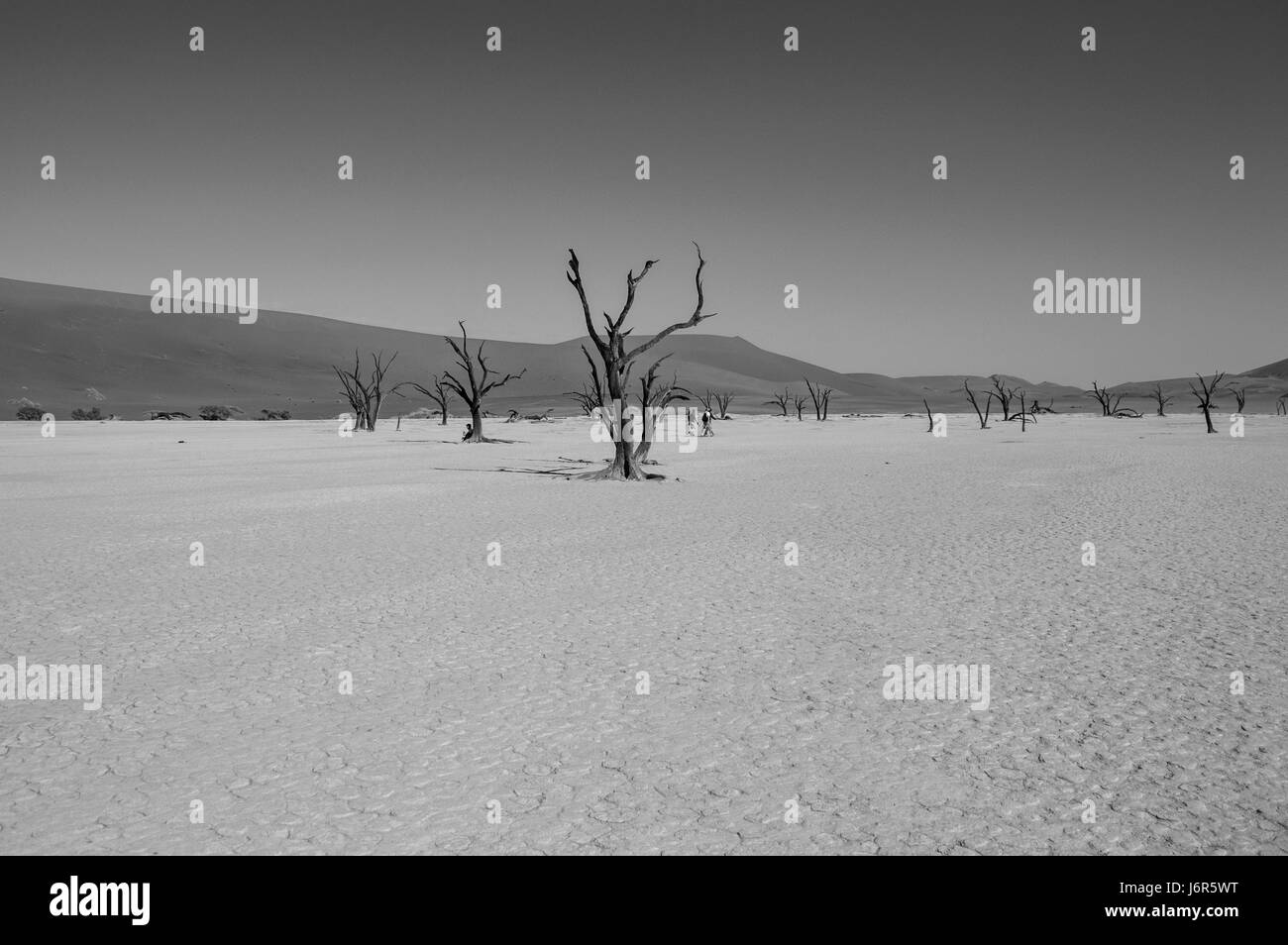 Sossusvlei Salt Pan Desert Landscape with Dead Trees and People ...