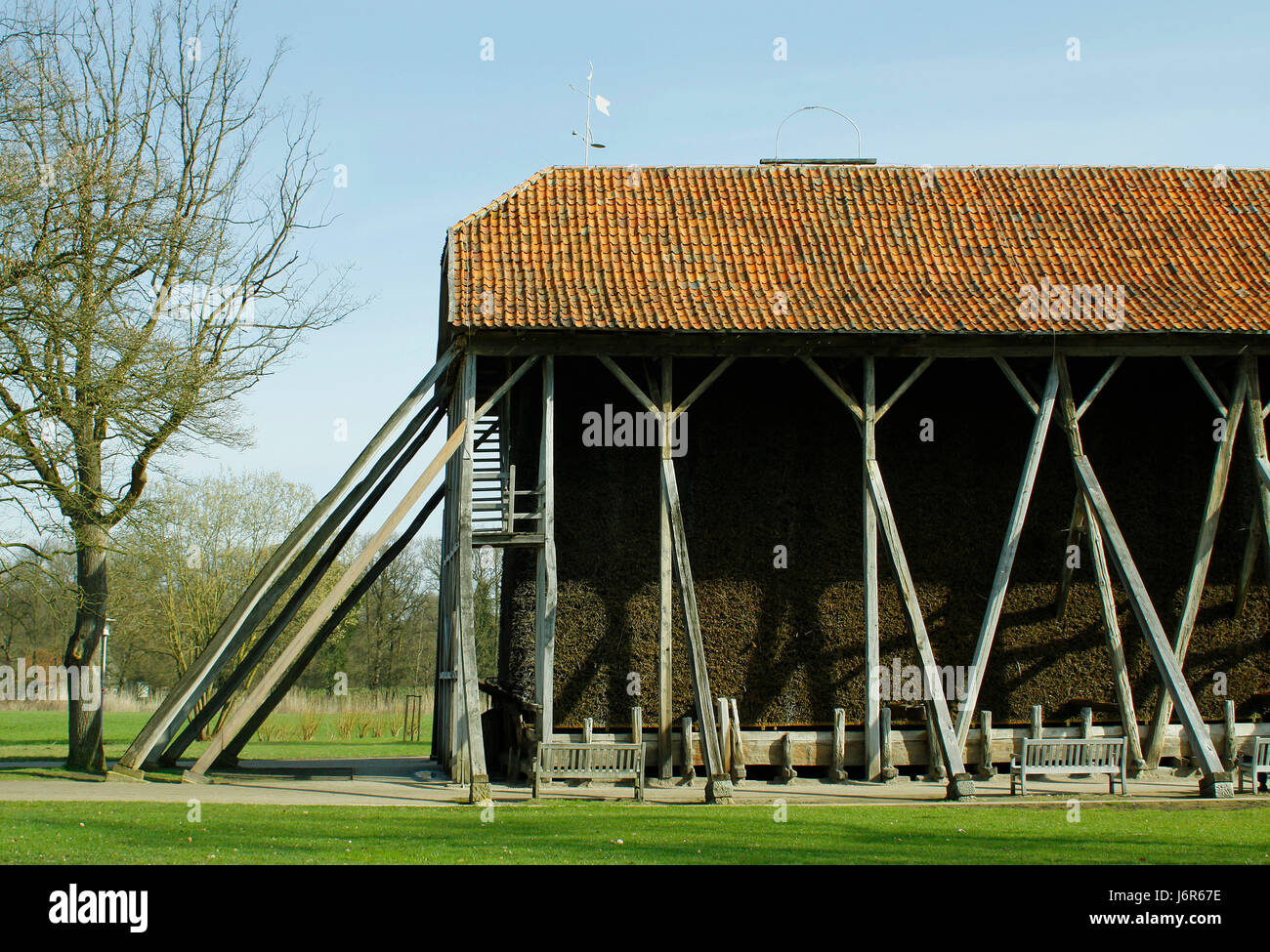 salt cure lungs saline coughing salt industry cure lungs salty saline ...