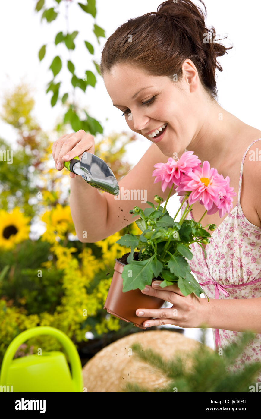 woman flower plant bloom blossom flourish flourishing rhododendron ...