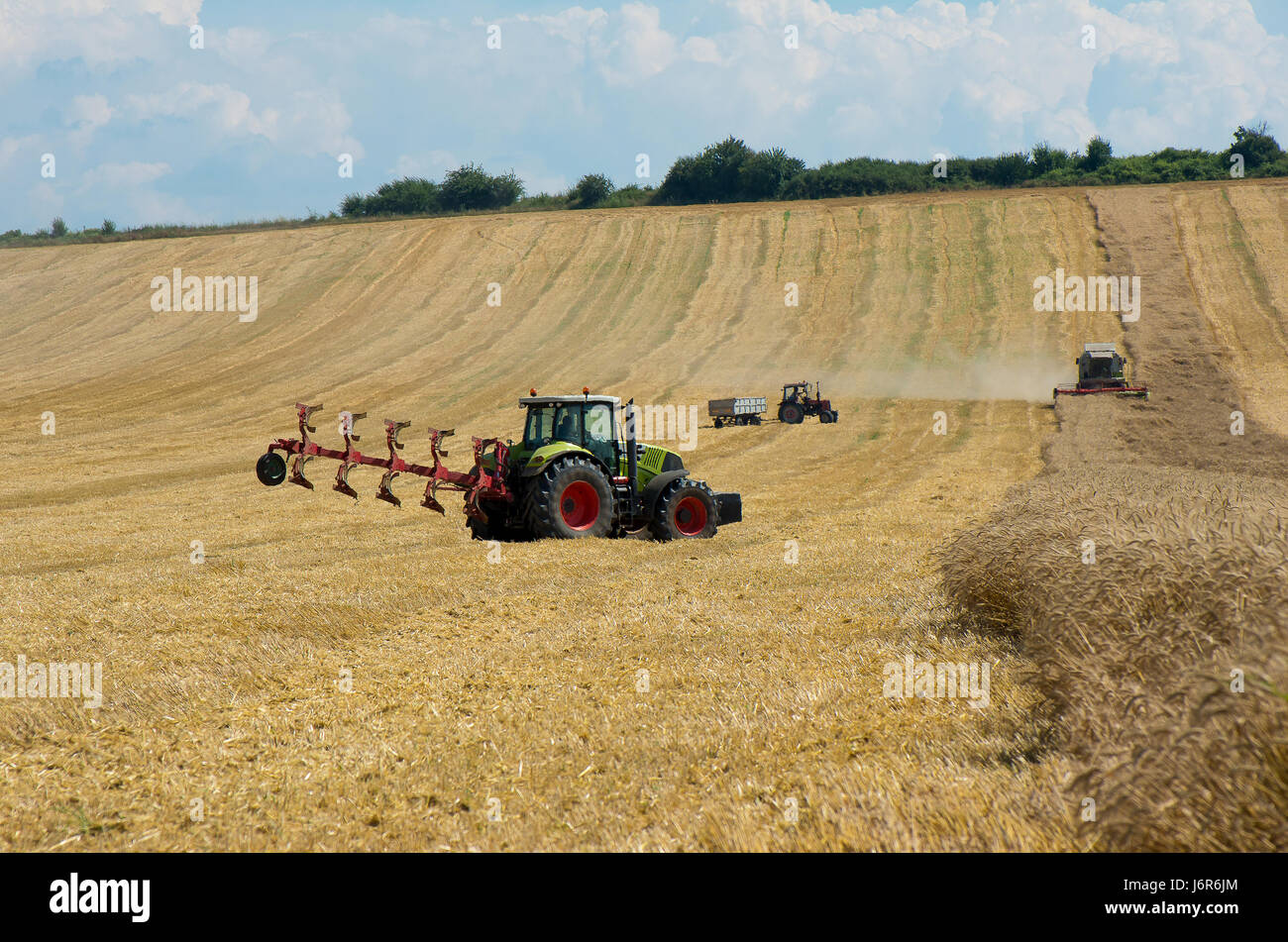 Harvest. Harvesting of wheat Stock Photo - Alamy