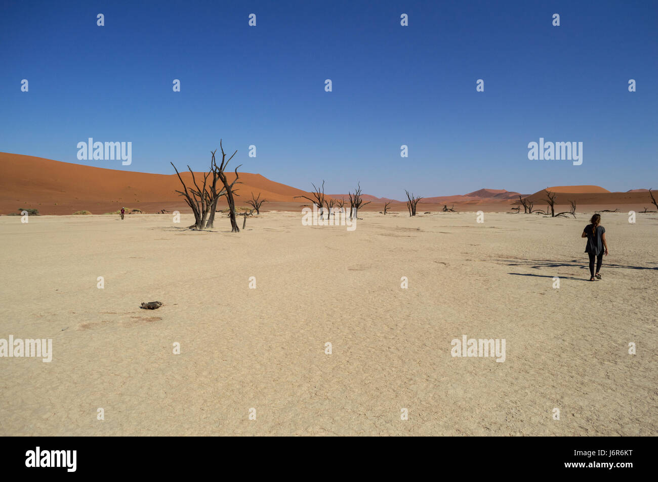 Sossusvlei Salt Pan Desert Landscape with Dead Trees and a Woman ...