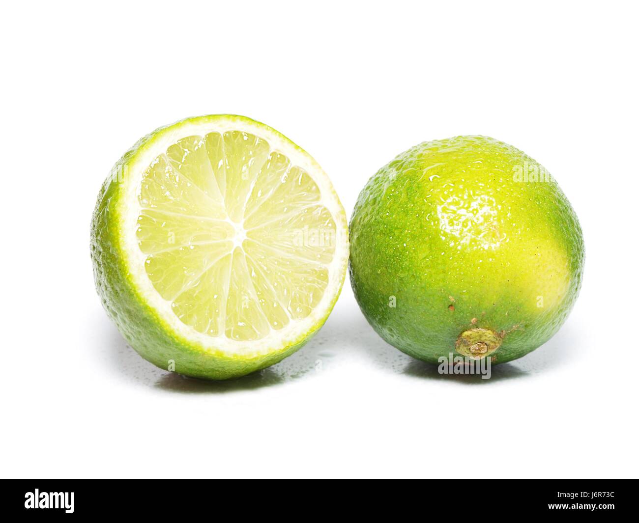 Lime Painting Philadelphia