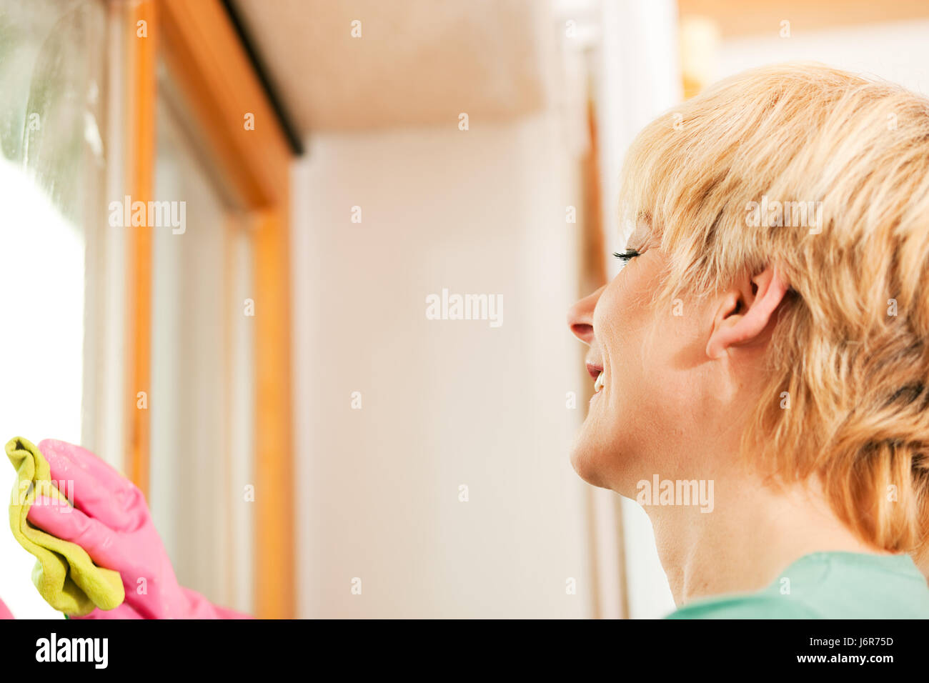 woman housewife household furbish trappings homework humans human ...