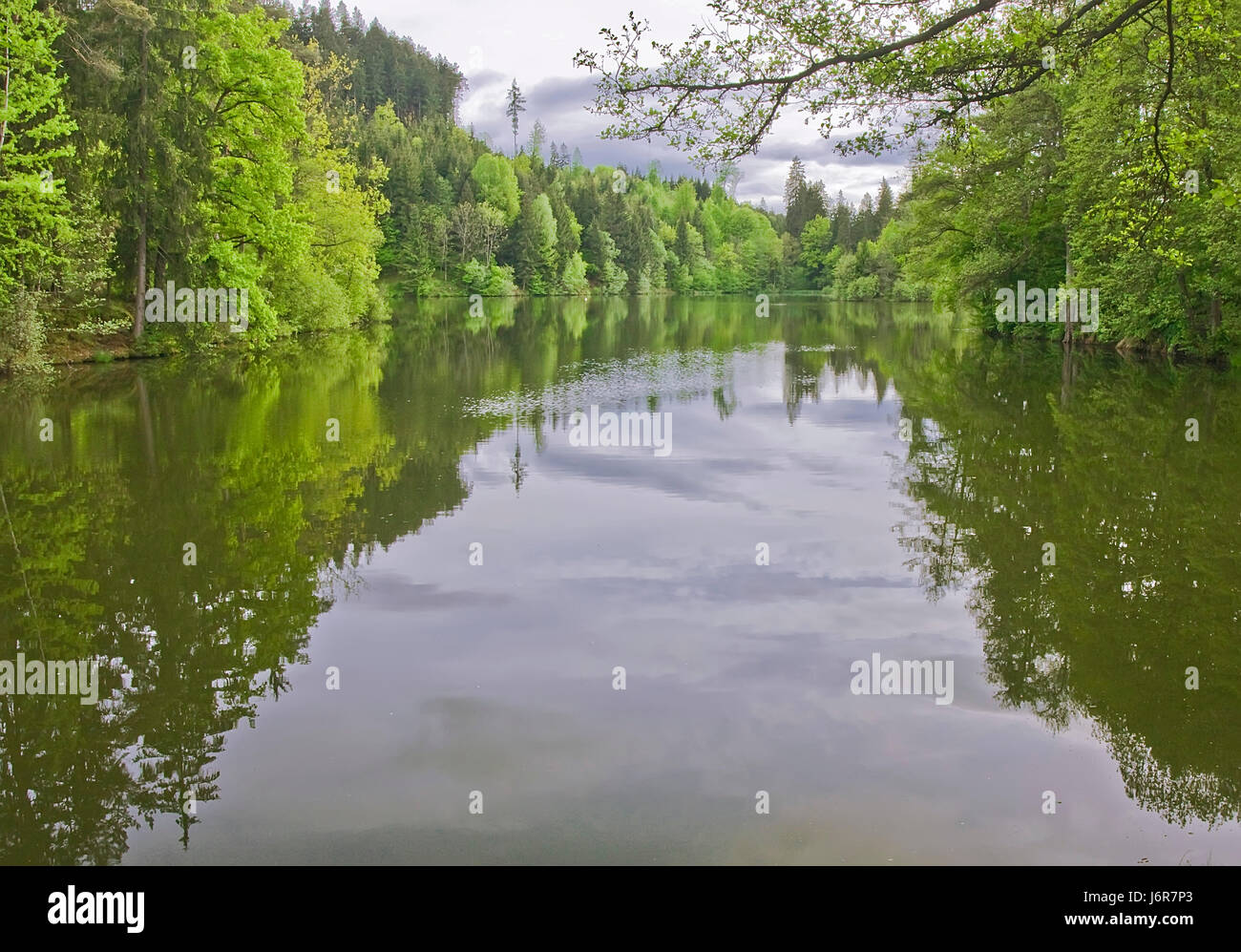 waters green spring May fresh water pond water lake inland water nature ...
