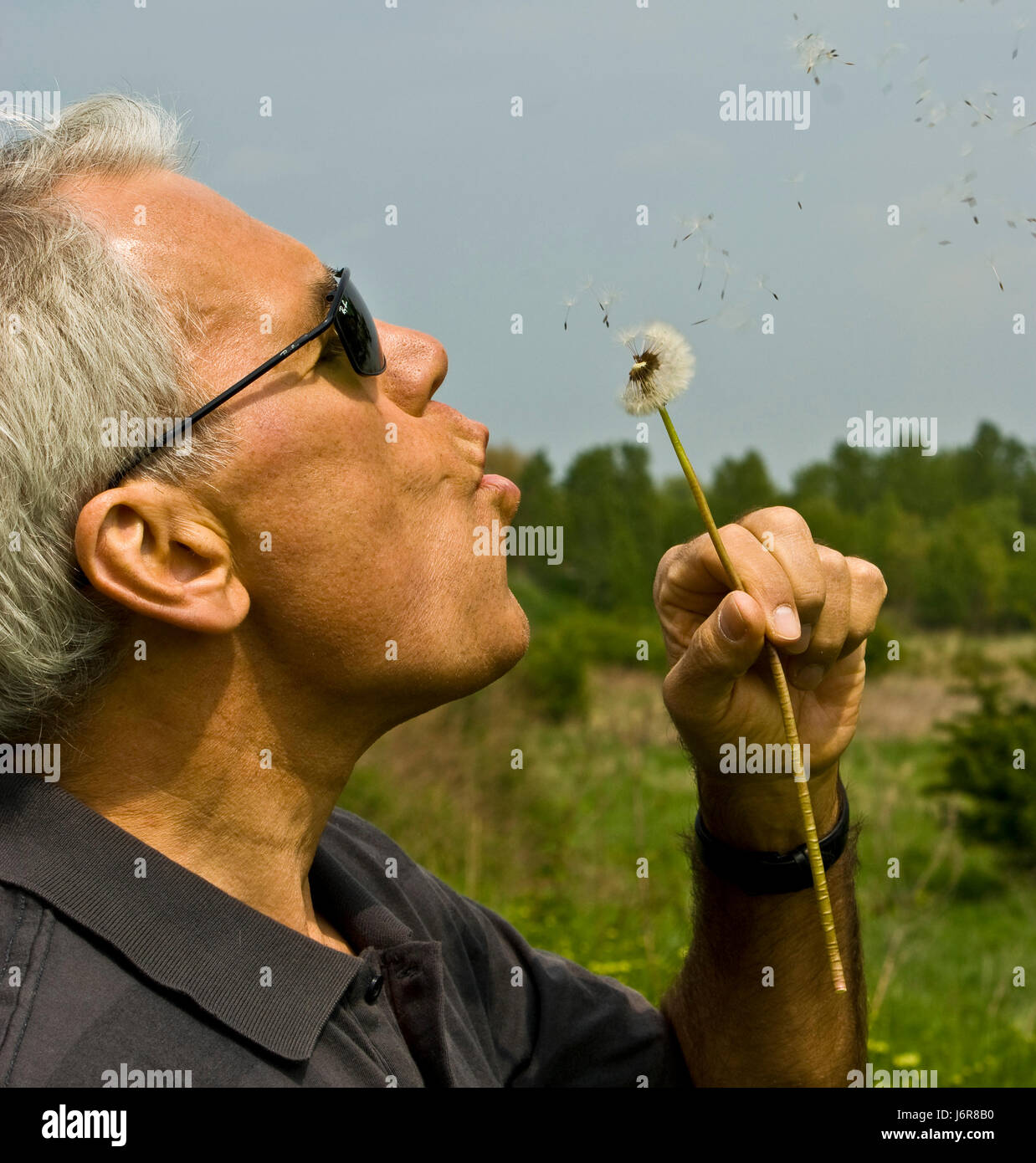 man with dandelion Stock Photo - Alamy