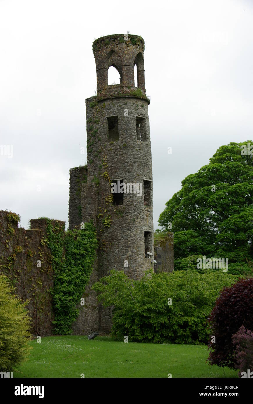 tower ireland castle chateau tower monument park garden ruins style of ...