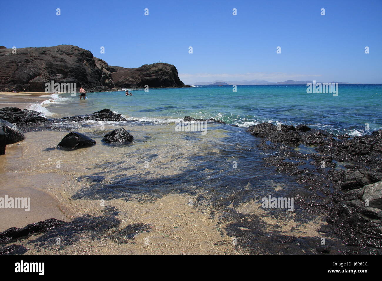 Beaches of parrot hi-res stock photography and images - Alamy