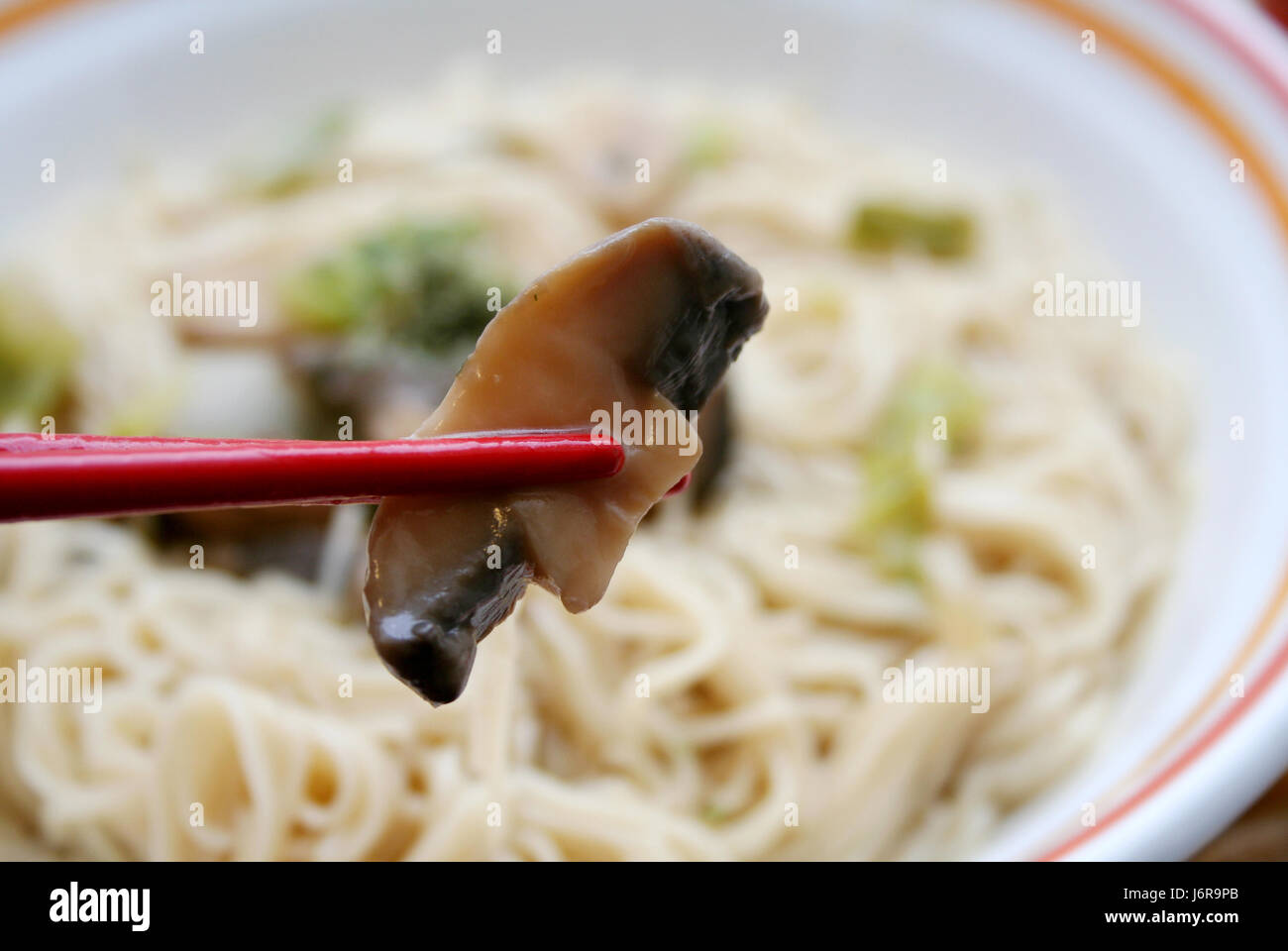 asiatic dainty noodle food aliment spice asiatic kitchen cuisine boil ...