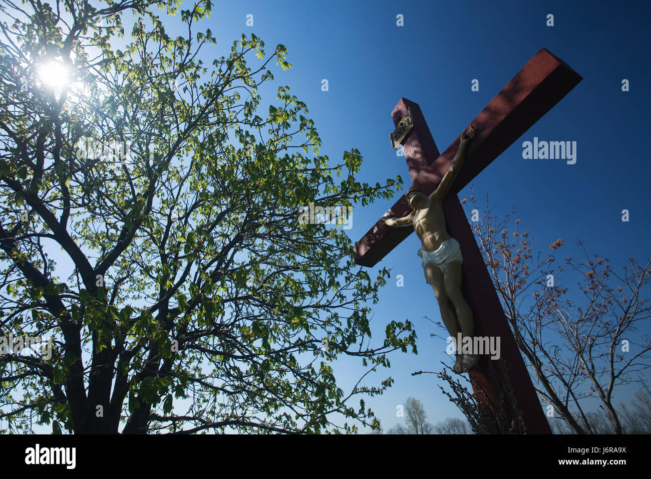 tree heaven paradise cross counter-light crucifix jesus shine shines ...