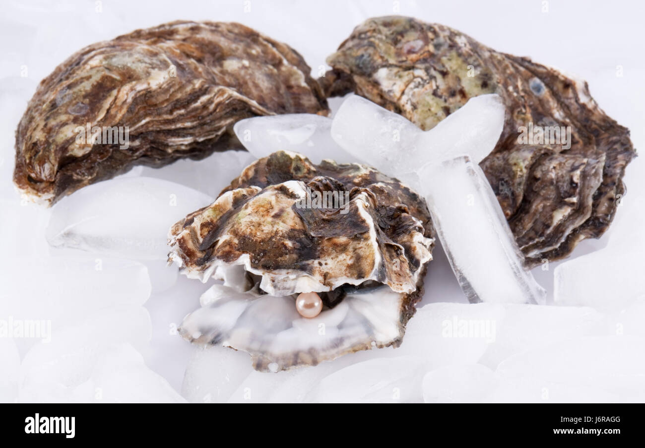 oyster on ice with pearl Stock Photo - Alamy
