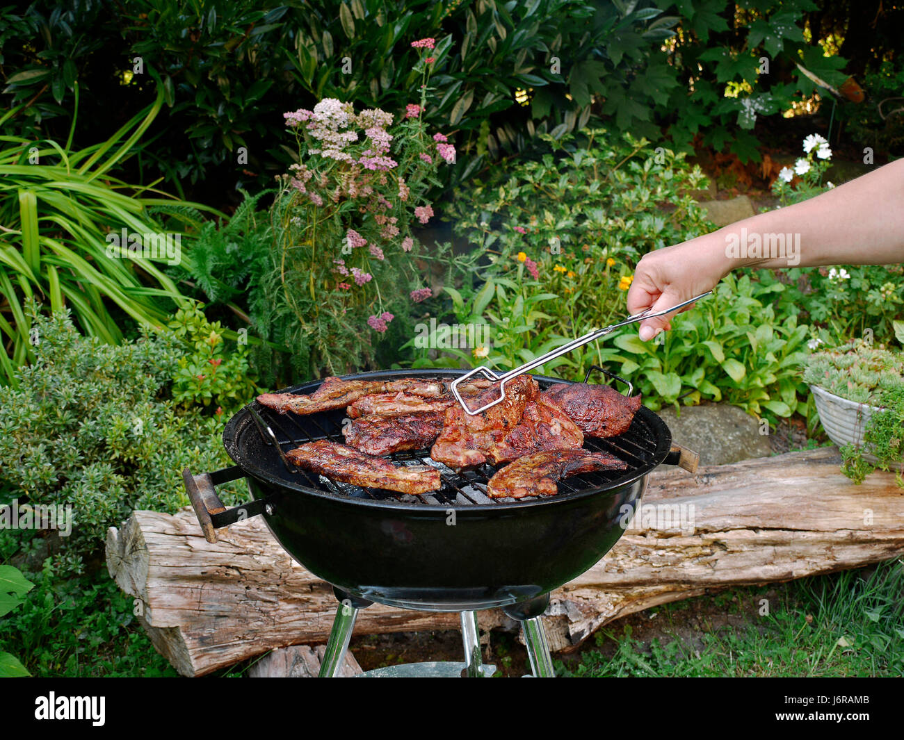 grill barbecue barbeque pork hand insalubrious tree garden plant green ...