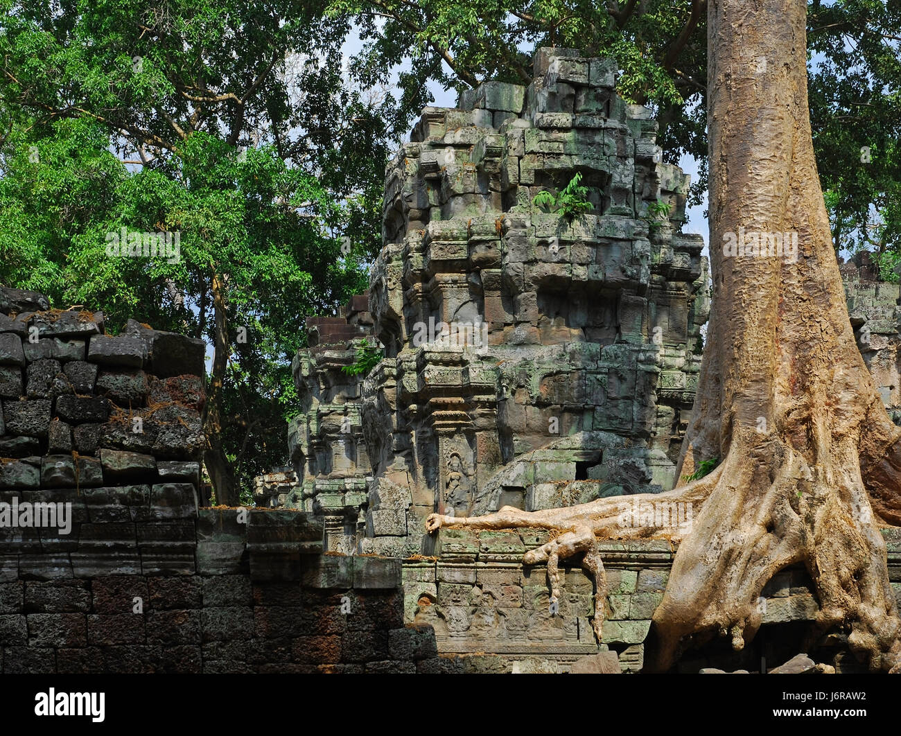 temple tree wall overgrows religion belief temple tree stone asia ...