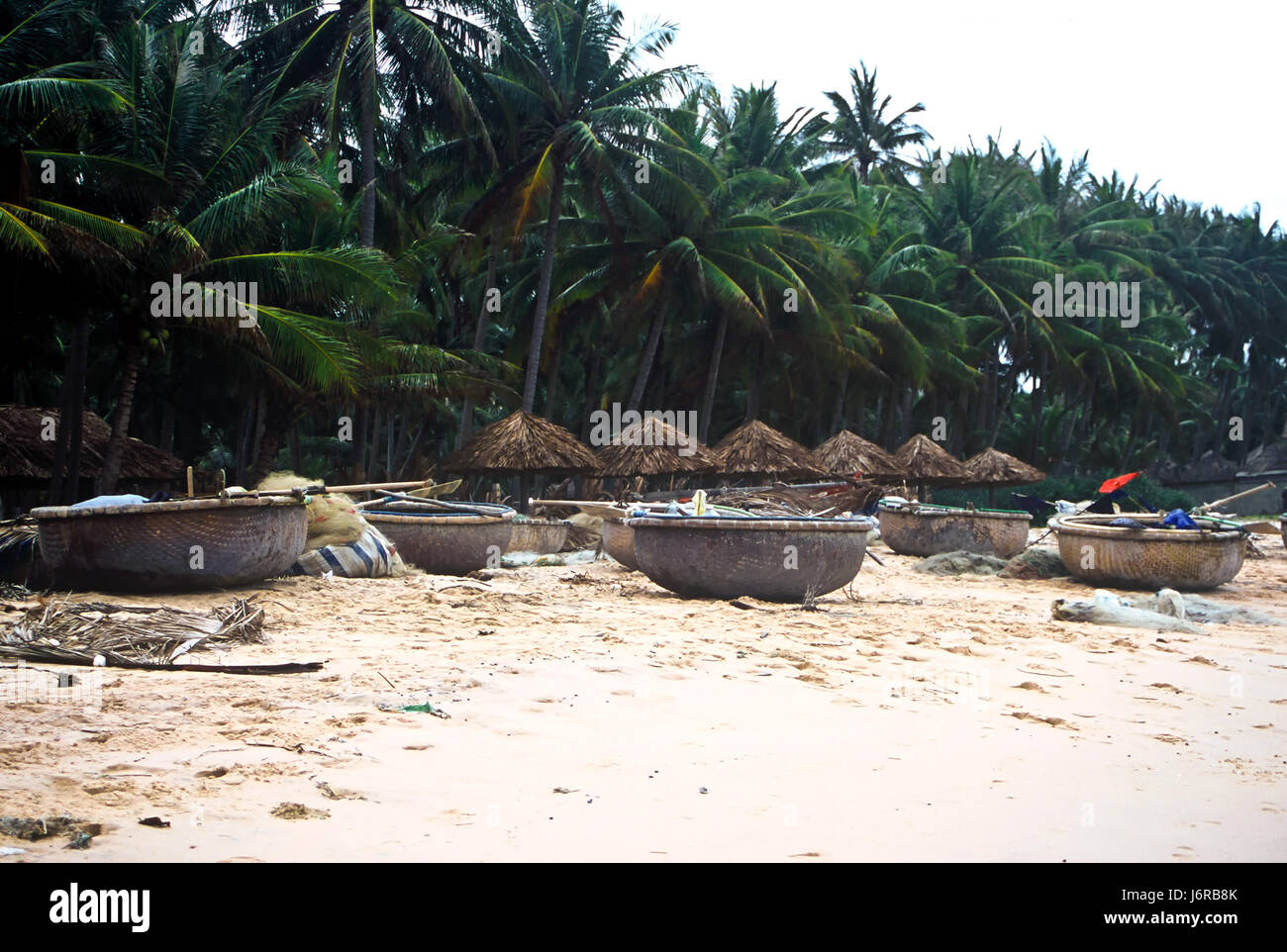 asia beach seaside the beach seashore viet nam vietnam tropical native ...