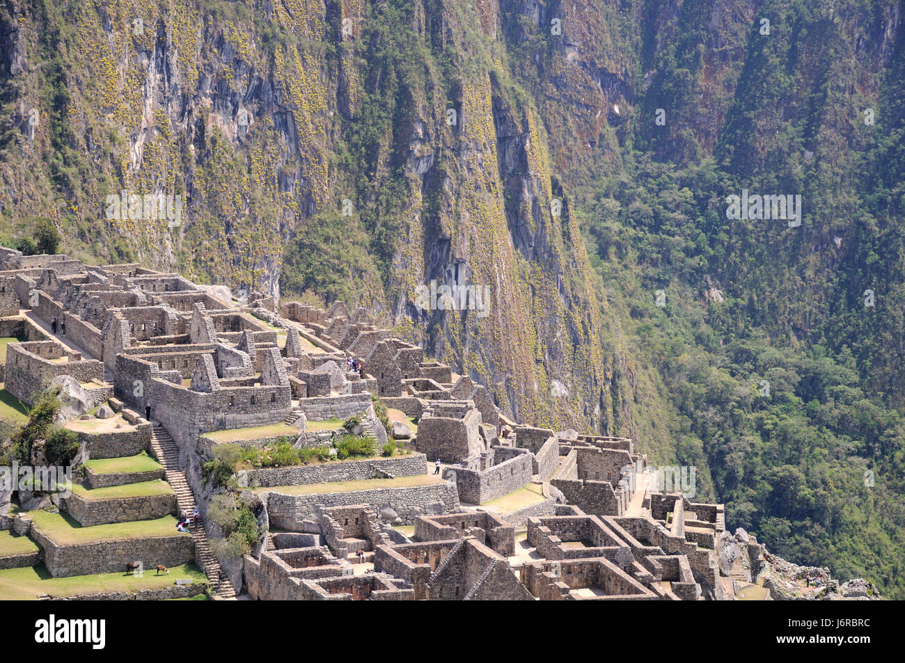ruin,ruins,south america,peru,andes,peru,machu picchu,inka,verlorene ...