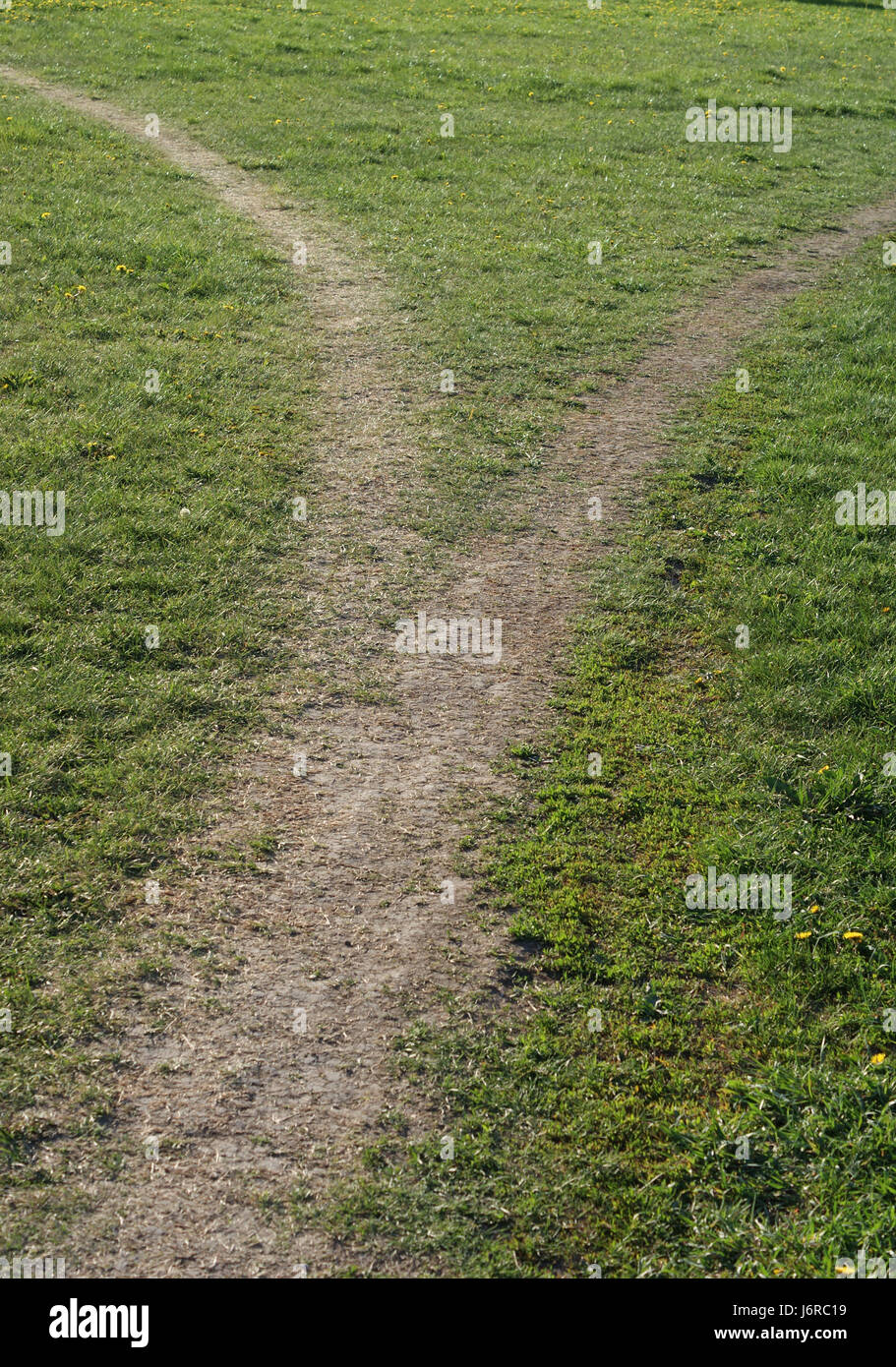 Two trails in the green grass during springtime Stock Photo - Alamy