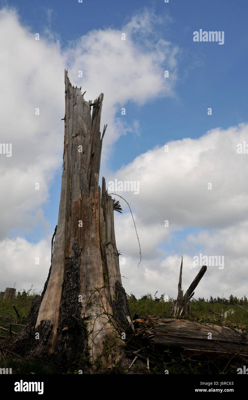environment enviroment thunder-storm hurricane cyclone storm gale wind ...