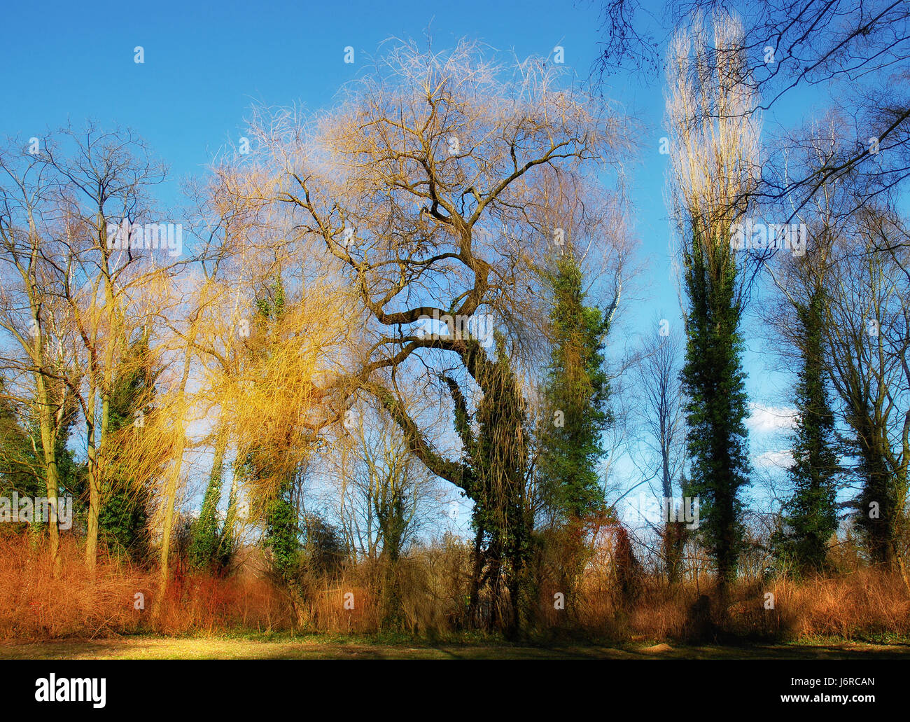 the colors of nature Stock Photo - Alamy