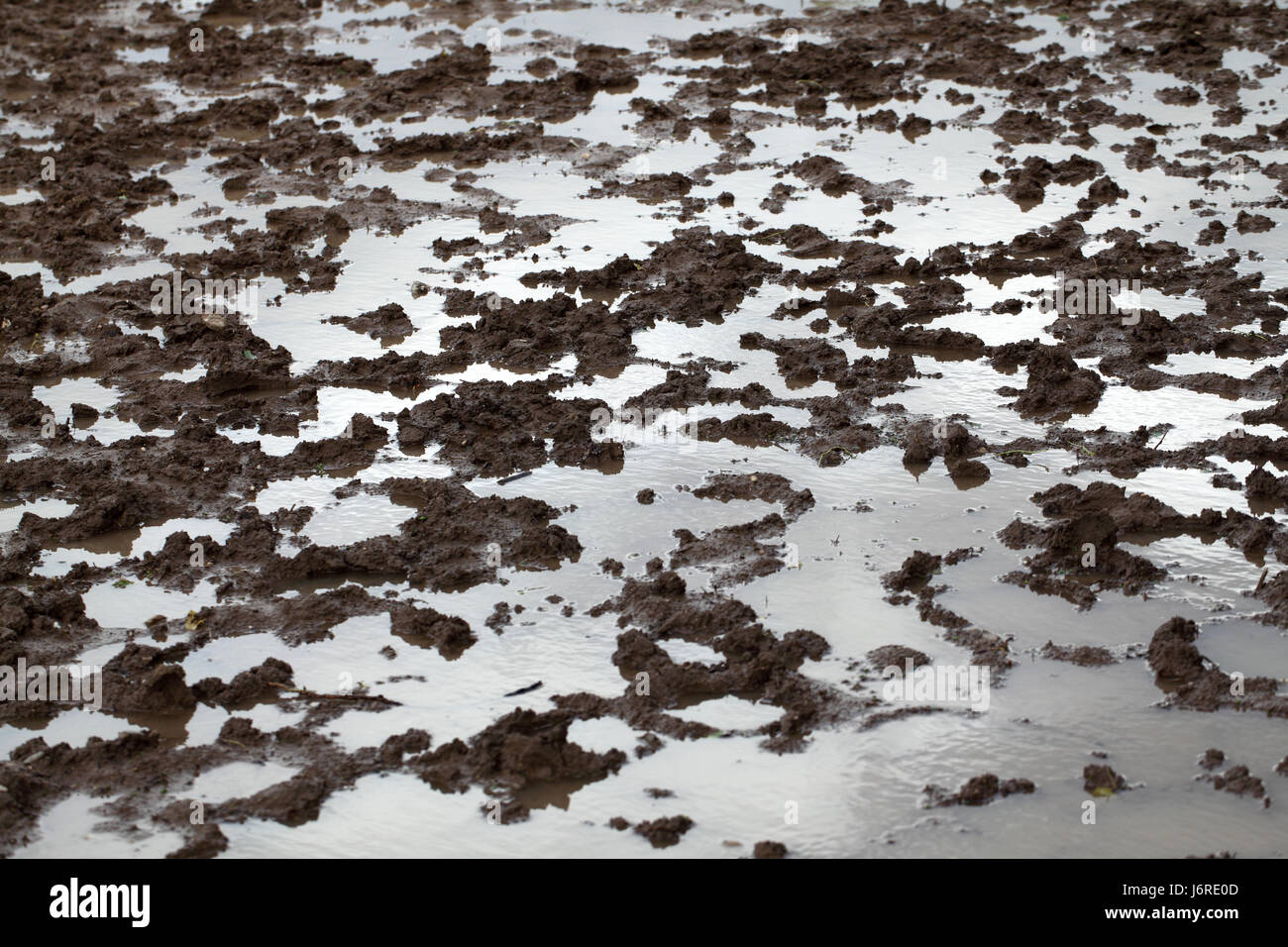 dirt mud puddle muddy topsoil dirt wet mud dirty puddle slushy muddy ...