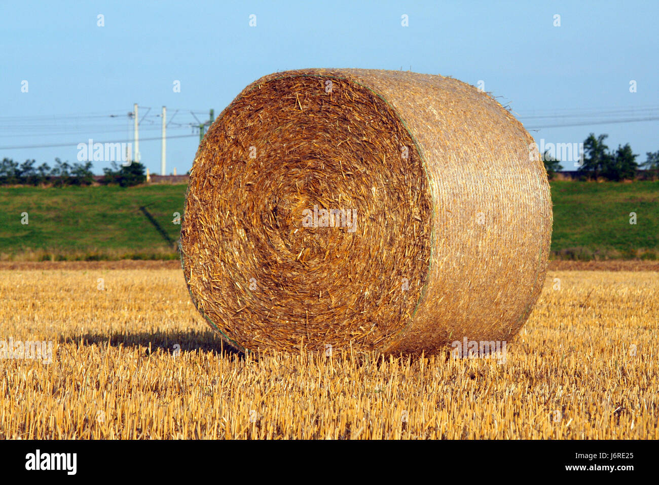 straw ball straw harvest fall autumn agriculture farming field decayed ...