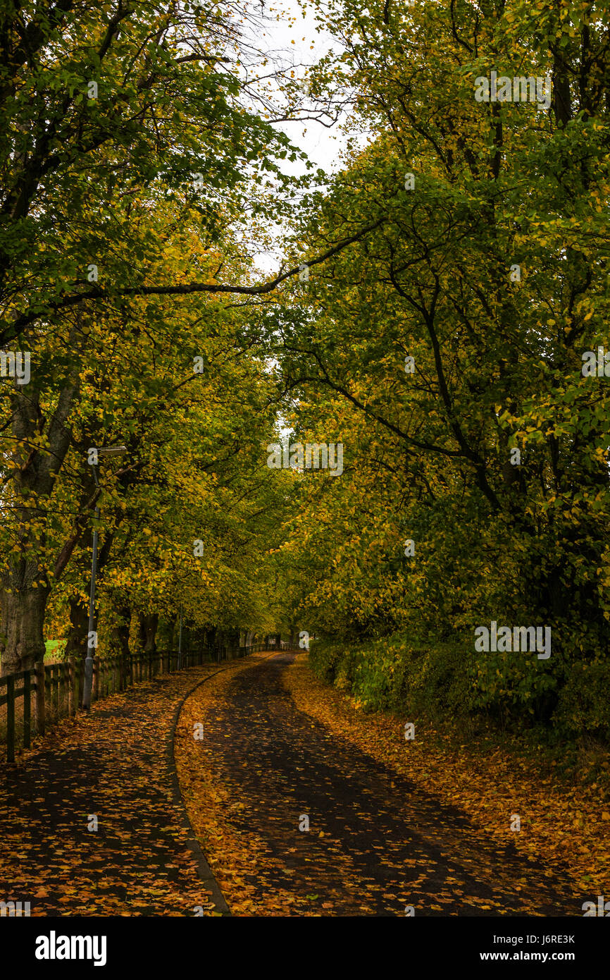 Gattonside hi-res stock photography and images - Alamy