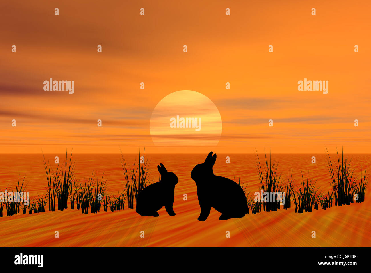 sunset sunrise hare hares couple pair bunny shine shines bright lucent ...