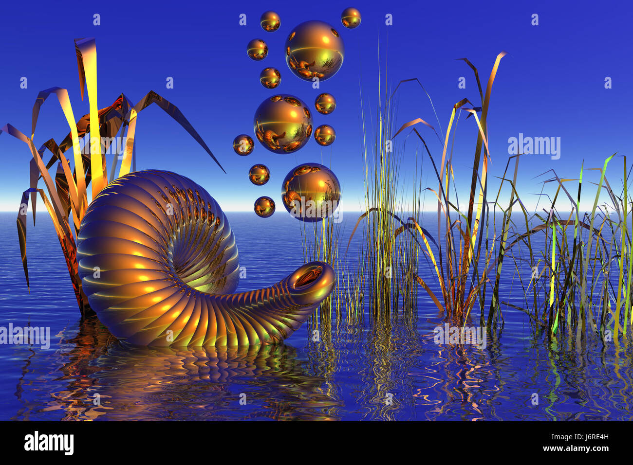 shell golden bubbles snail salt water sea ocean water bowl symbolic ...