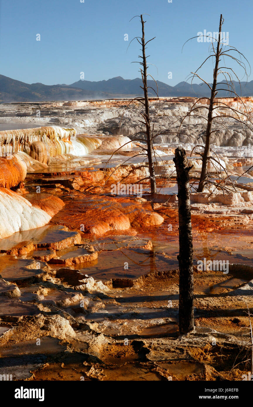 park national mammoth geology mineral tree rust landscape scenery ...