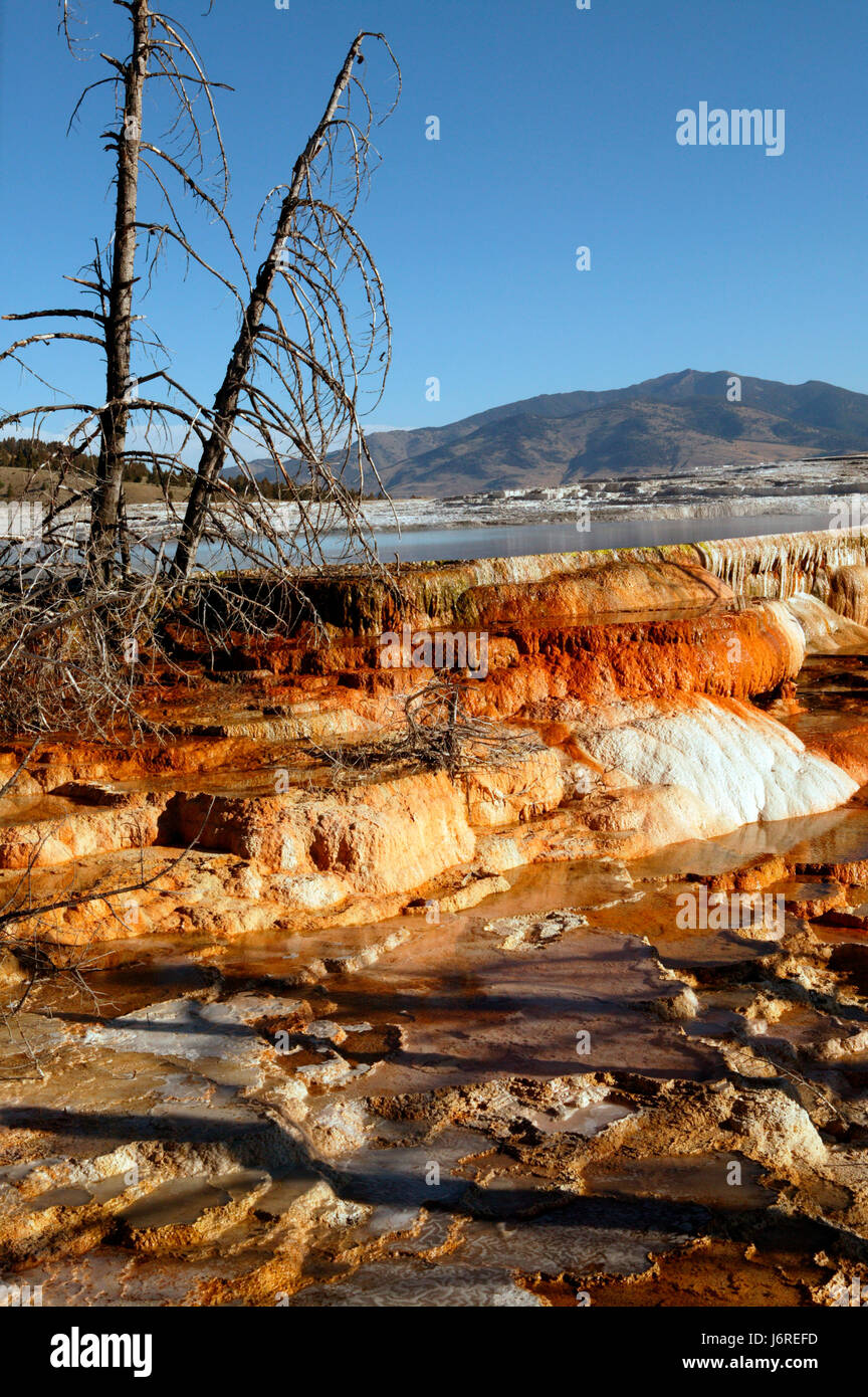 park national mammoth landscape scenery countryside nature scenic tree ...