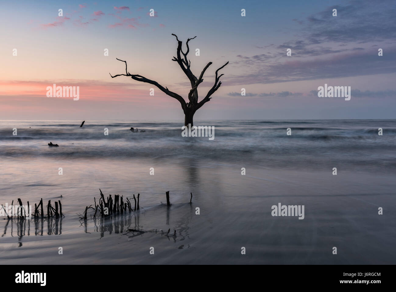 Sunrise over the Boneyard Beach on Bulls Island, South Carolina. Bulls ...